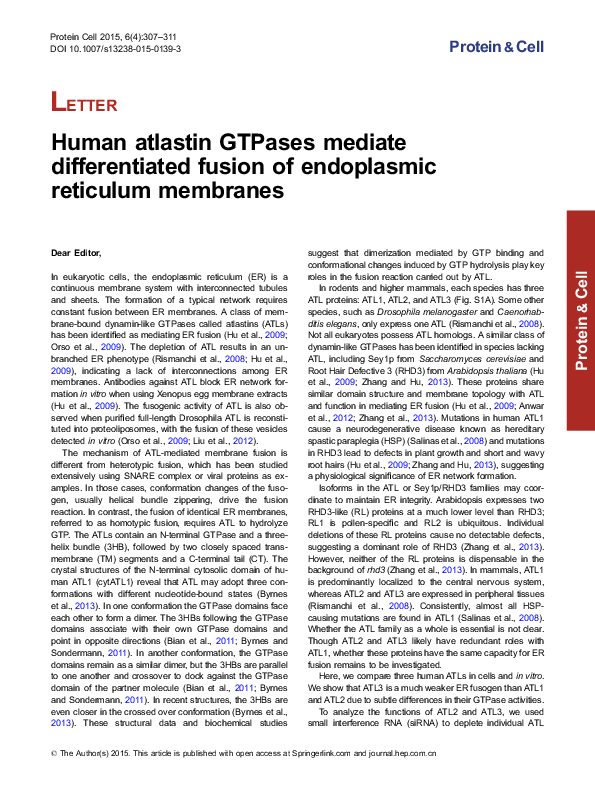 (PDF) Human atlastin GTPases mediate differentiated fusion of ...