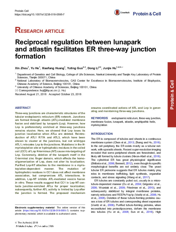 (PDF) Reciprocal regulation between lunapark and atlastin facilitates ...