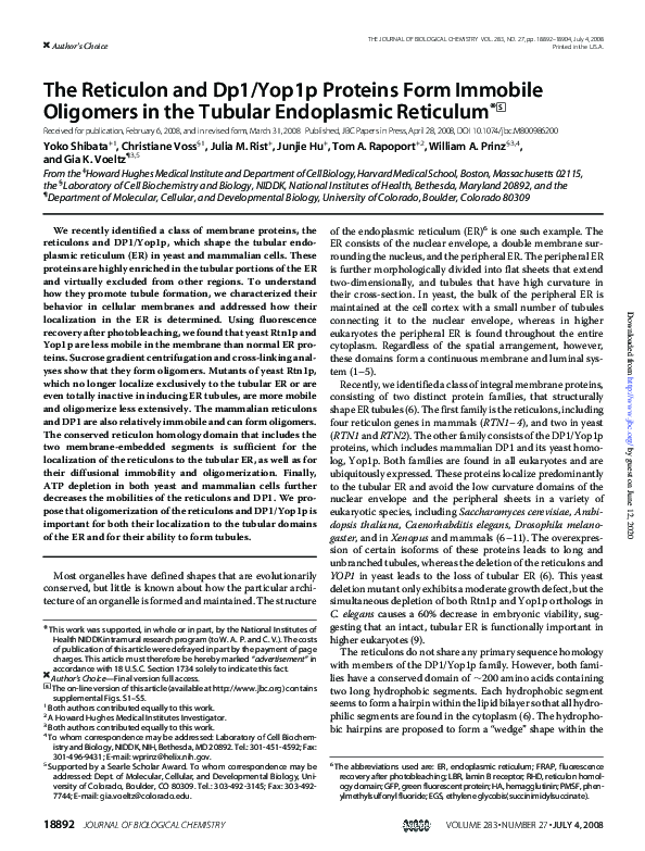 (PDF) The Reticulon and Dp1/Yop1p Proteins Form Immobile Oligomers in ...