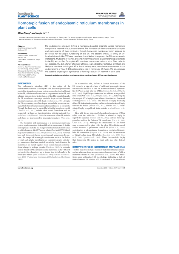 (PDF) Homotypic fusion of endoplasmic reticulum membranes in plant cells