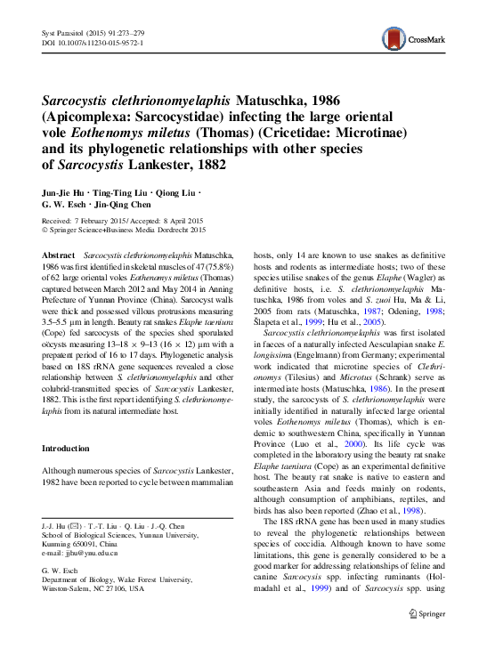 (PDF) Sarcocystis clethrionomyelaphis Matuschka, 1986 (Apicomplexa ...