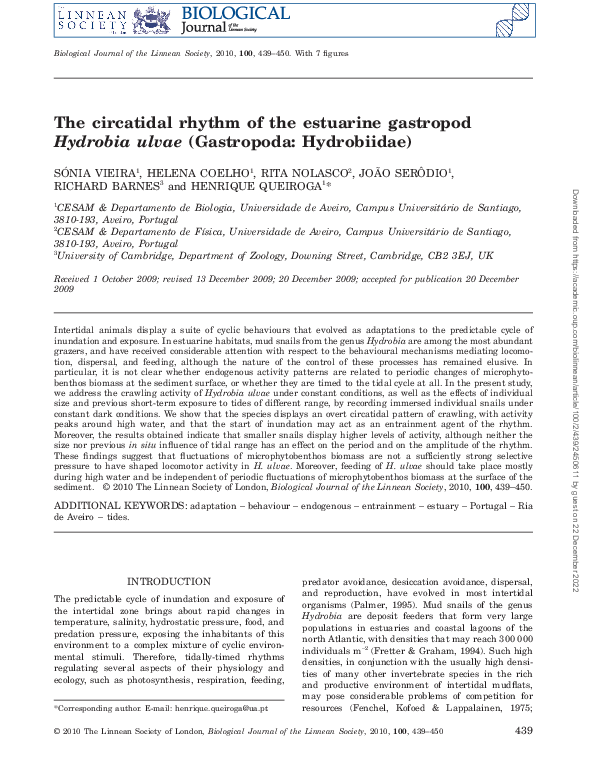 (PDF) The circatidal rhythm of the estuarine gastropod Hydrobia ulvae ...