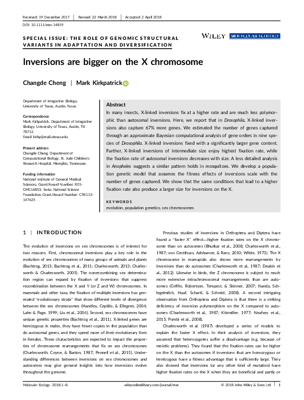 (PDF) Inversions are bigger on the X chromosome