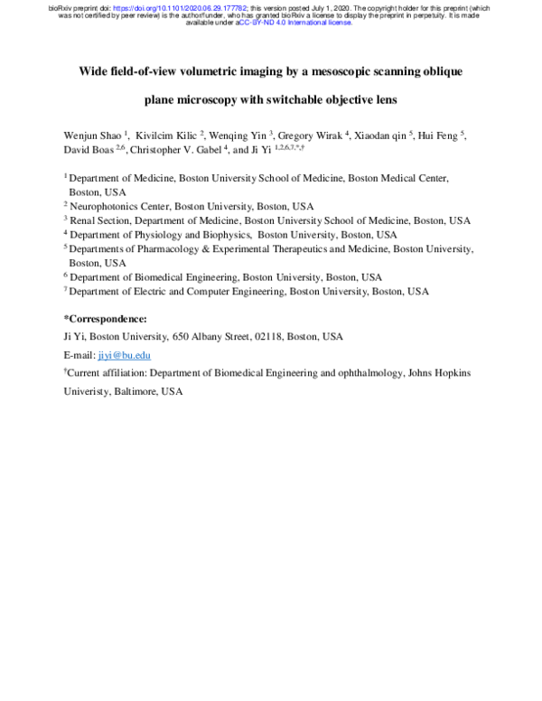 (PDF) Mesoscopic Imaging with Scanning OPM