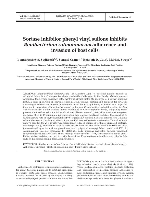 (PDF) Sortase inhibitor phenyl vinyl sulfone inhibits Renibacterium ...