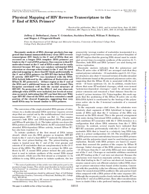 (PDF) Physical Mapping of HIV Reverse Transcriptase to the 5' End of RNA Primers