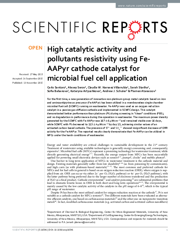 (PDF) High catalytic activity and pollutants resistivity using Fe-AAPyr ...