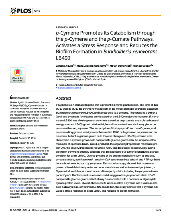 (PDF) p-Cymene Promotes Its Catabolism through the p-Cymene and the p ...