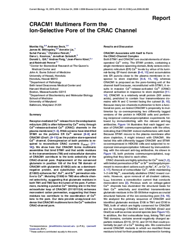 (PDF) CRACM1 Multimers Form the Ion-Selective Pore of the CRAC Channel