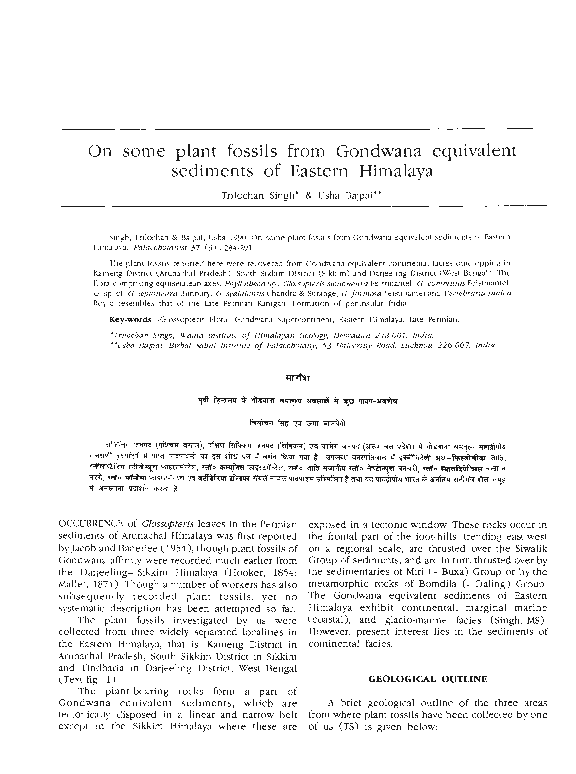 (PDF) On some plant fossil from Gondwana equivalent sediments of ...