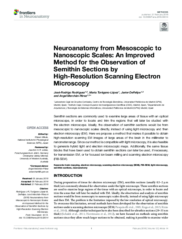 (PDF) Neuroanatomy from Mesoscopic to Nanoscopic Scales: An Improved ...