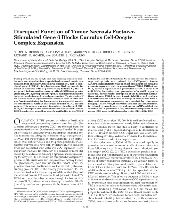 (PDF) Disrupted Function of Tumor Necrosis Factor-α-Stimulated Gene 6 ...