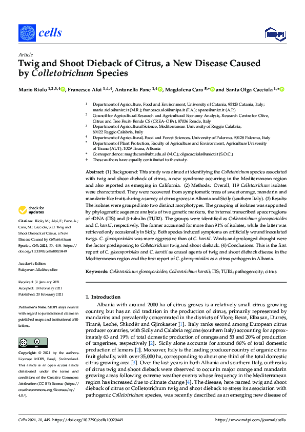 Twig and Shoot Dieback of Citrus, a New Disease Caused by ...