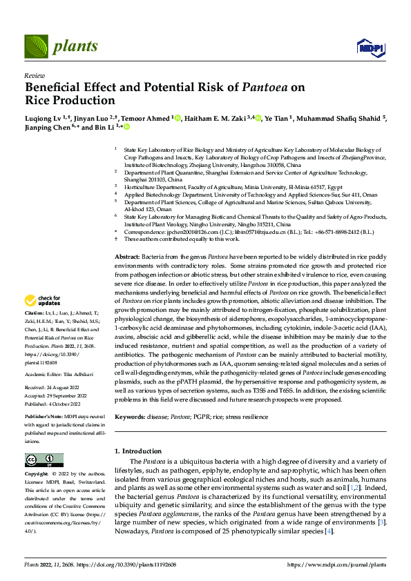 (PDF) Beneficial Effect and Potential Risk of Pantoea on Rice Production