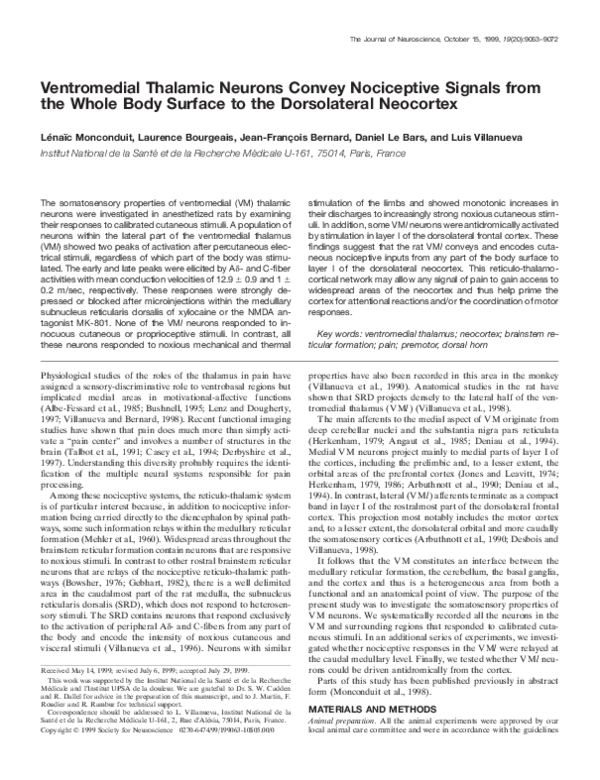 (PDF) VM Thalamic Neurons and Pain Signal Pathways