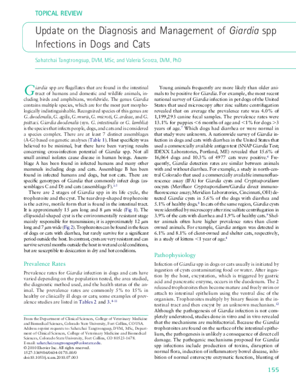 (PDF) Update on the Diagnosis and Management of Giardia spp Infections ...