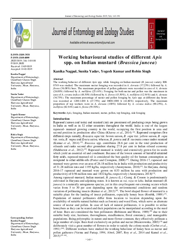 (PDF) Working behavioural studies of different Apis spp. on Indian ...