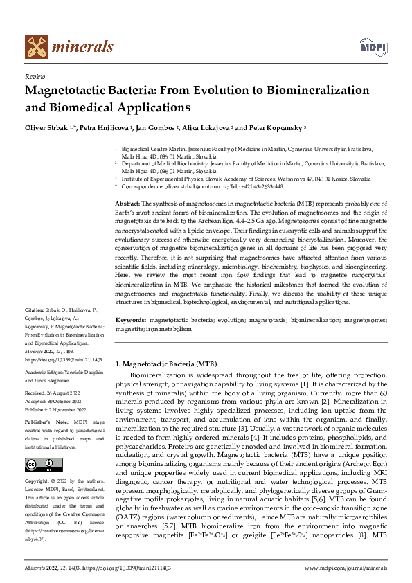 (PDF) Magnetotactic Bacteria: From Evolution to Biomineralization and Biomedical Applications