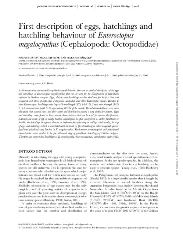 (PDF) First description of eggs, hatchlings and hatchling behaviour of ...