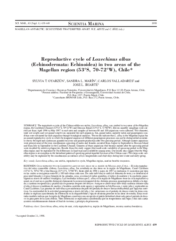(PDF) Reproductive cycle of Loxechinus albus (Echinodermata: Echinoidea ...