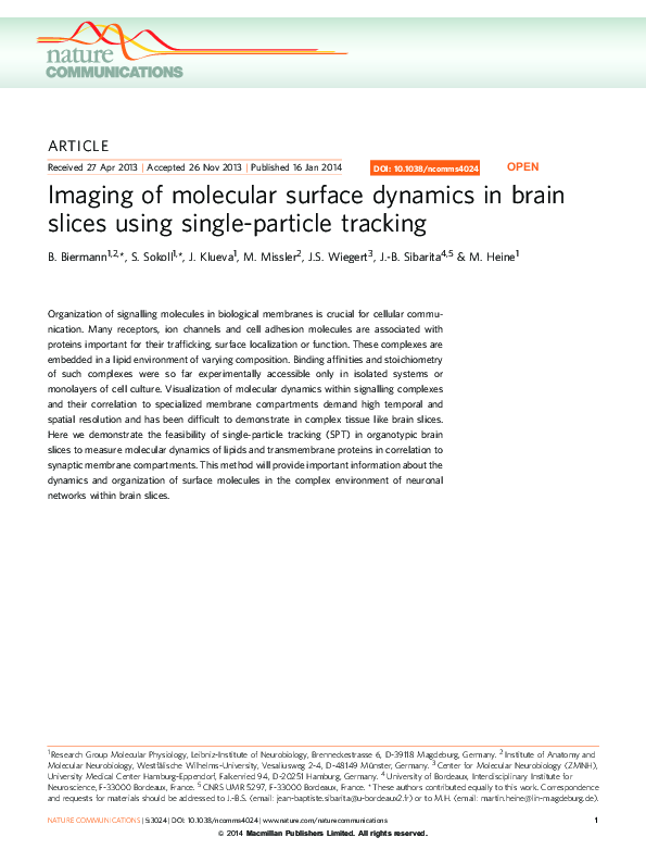 (PDF) Imaging of molecular surface dynamics in brain slices using ...
