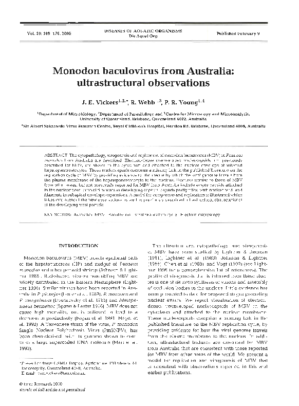 (PDF) Monodon baculovirus from Australia:ultrastructural observations