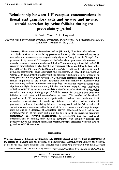 (PDF) Relationship between LH receptor concentrations in thecal and ...