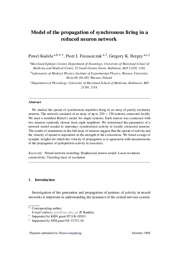 Pdf Model Of The Propagation Of Synchronous Firing In A Reduced
