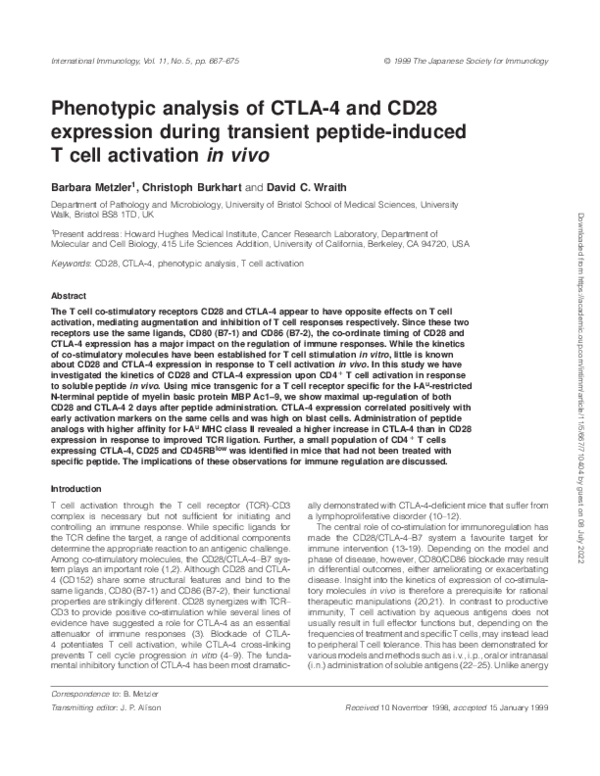 (PDF) CD28 and CTLA-4 Kinetics in T Cell Activation