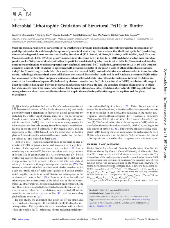 (PDF) Microbial Lithotrophic Oxidation of Structural Fe(II) in Biotite ...