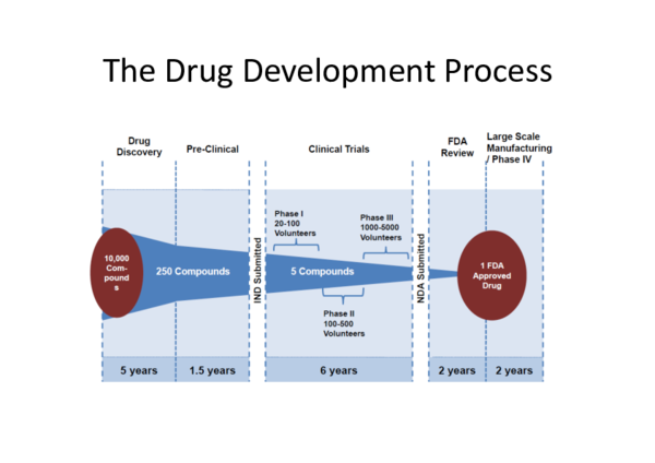 (PDF) The Drug Development Process