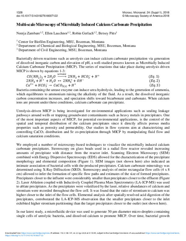 (PDF) Multi-scale Microscopy of Microbially Induced Calcium Carbonate ...