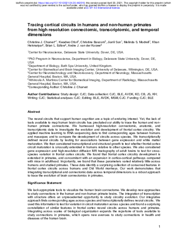 (PDF) Tracing cortical circuits in humans and non-human primates from ...