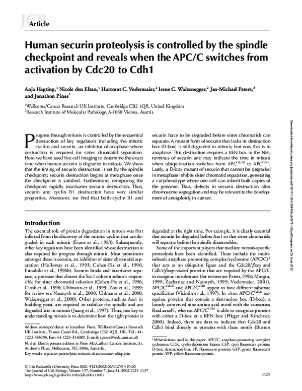 (PDF) Human securin proteolysis is controlled by the spindle checkpoint and reveals when the APC ...