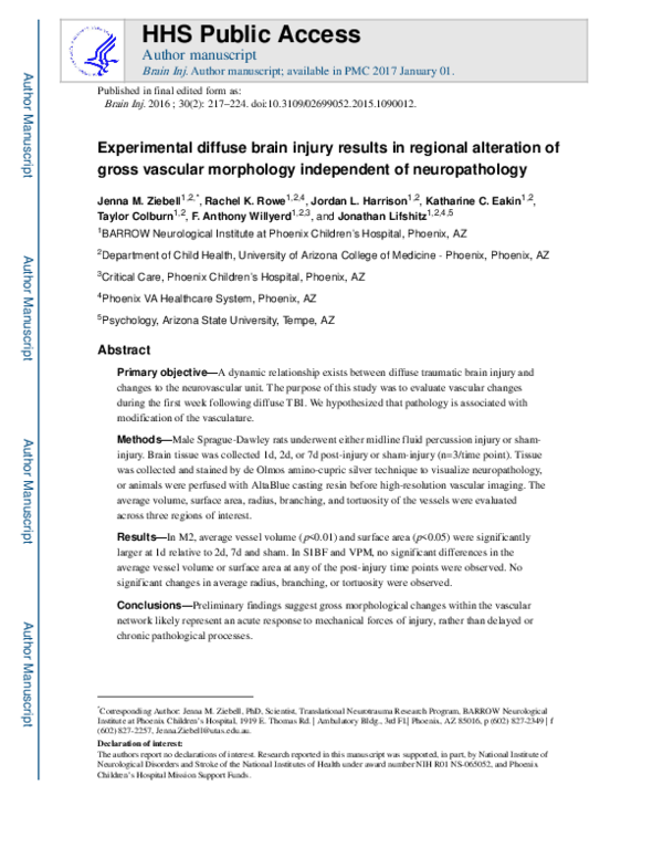 (PDF) Experimental diffuse brain injury results in regional alteration ...