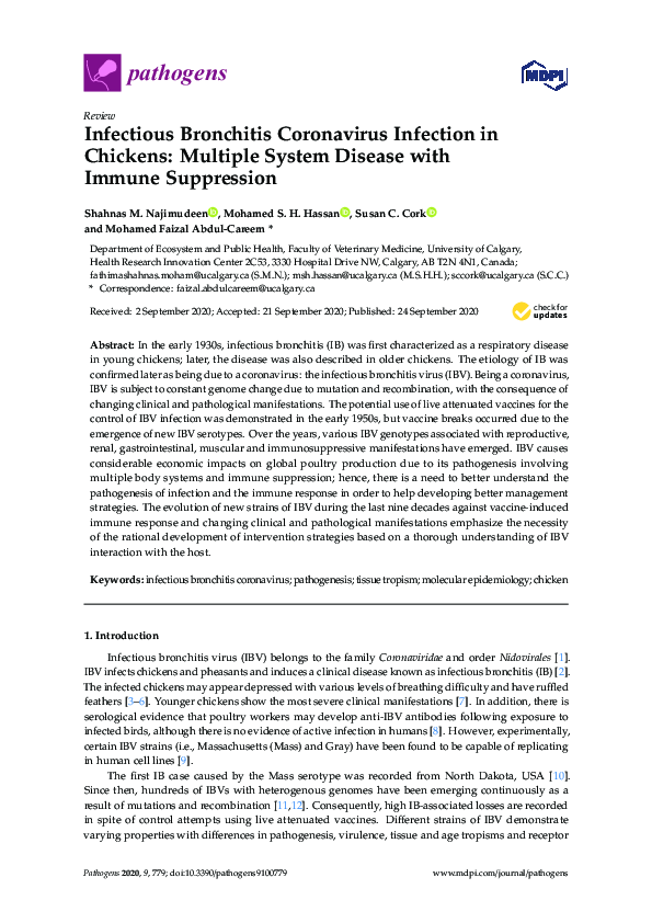(PDF) Infectious Bronchitis Coronavirus Infection in Chickens: Multiple ...
