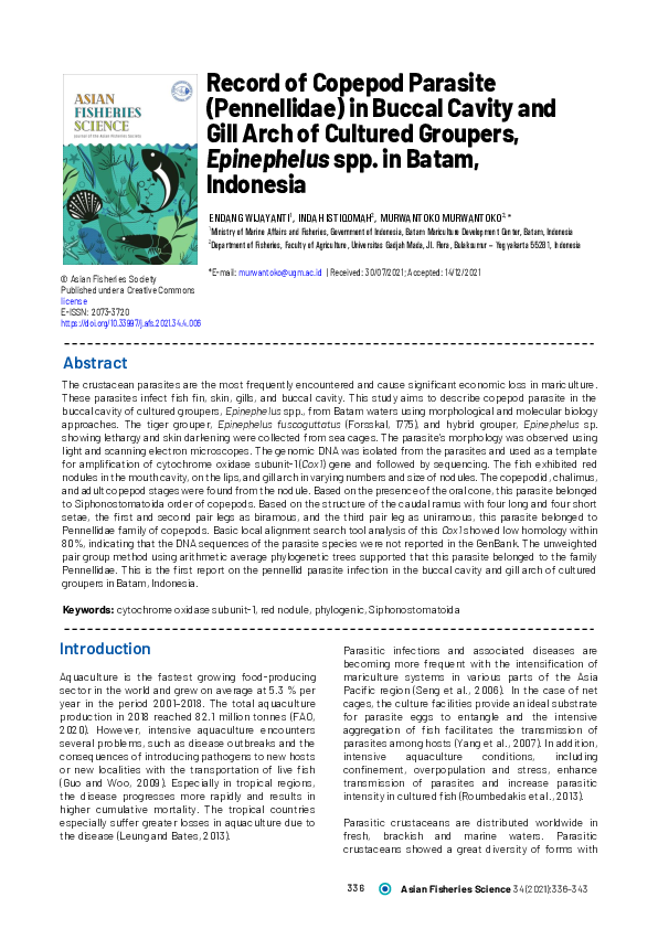 (PDF) Record of Copepod Parasite (Pennellidae) in Buccal Cavity and ...