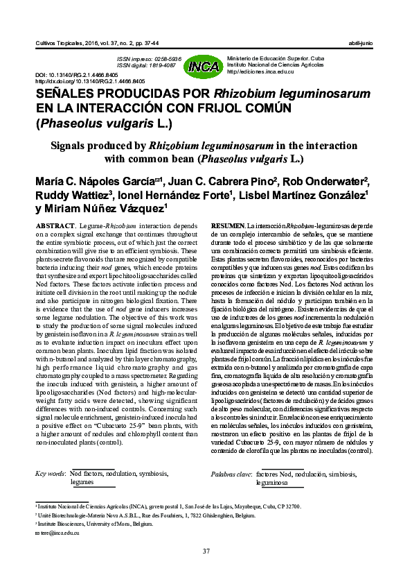 (PDF) Señales producidas por Rhizobium leguminosarum en la interacción ...