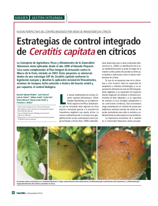 (PDF) Estrategias de control integrado de "Ceratitis capitata" en cítricos