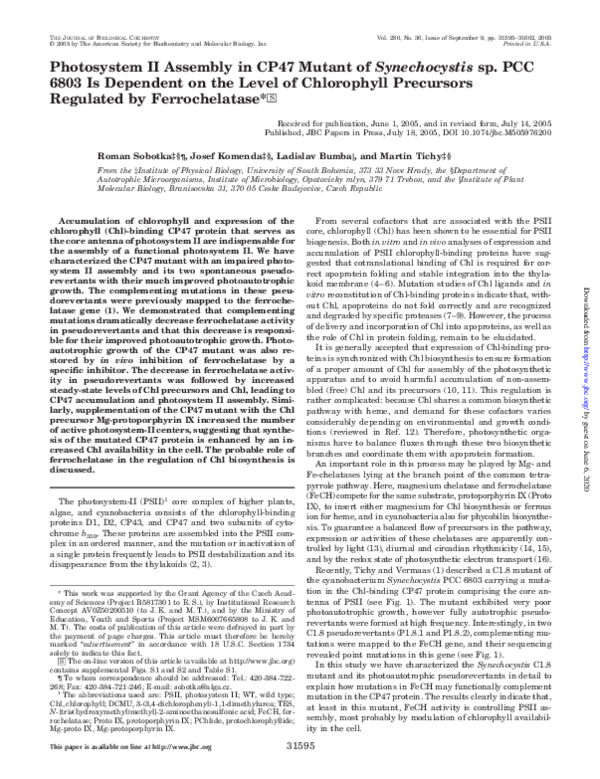 (PDF) Photosystem II Assembly in CP47 Mutant of Synechocystis sp. PCC ...