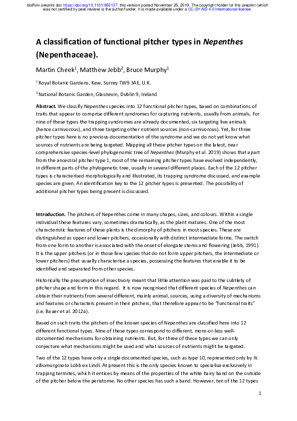 (PDF) A classification of functional pitcher types in Nepenthes ...