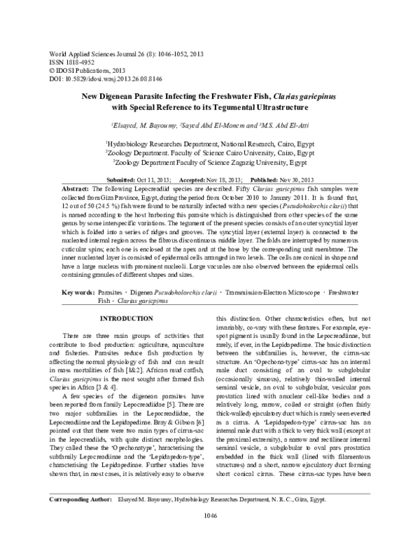 (PDF) New Digenean Parasite Infecting the Freshwater Fish, Clarias ...