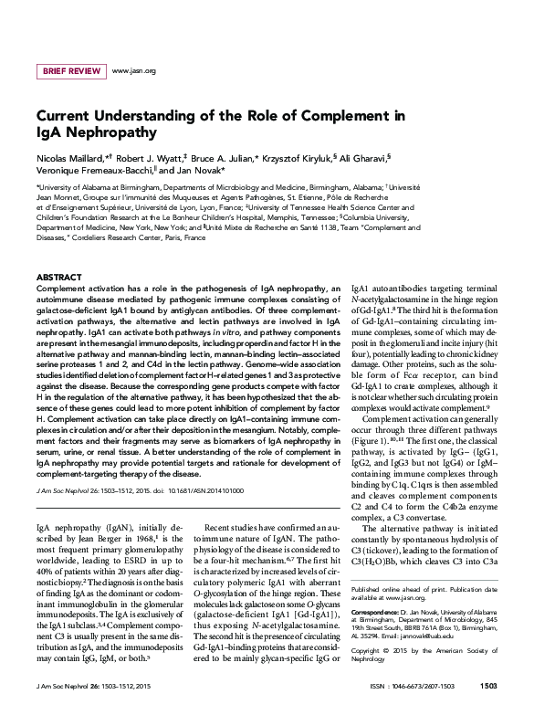 (PDF) Current Understanding of the Role of Complement in IgA Nephropathy
