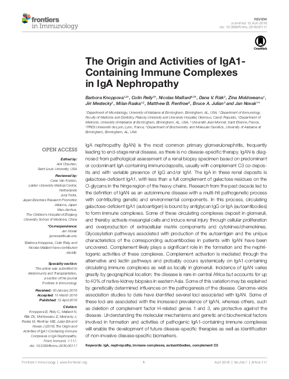 (PDF) The Origin and Activities of IgA1-Containing Immune Complexes in ...