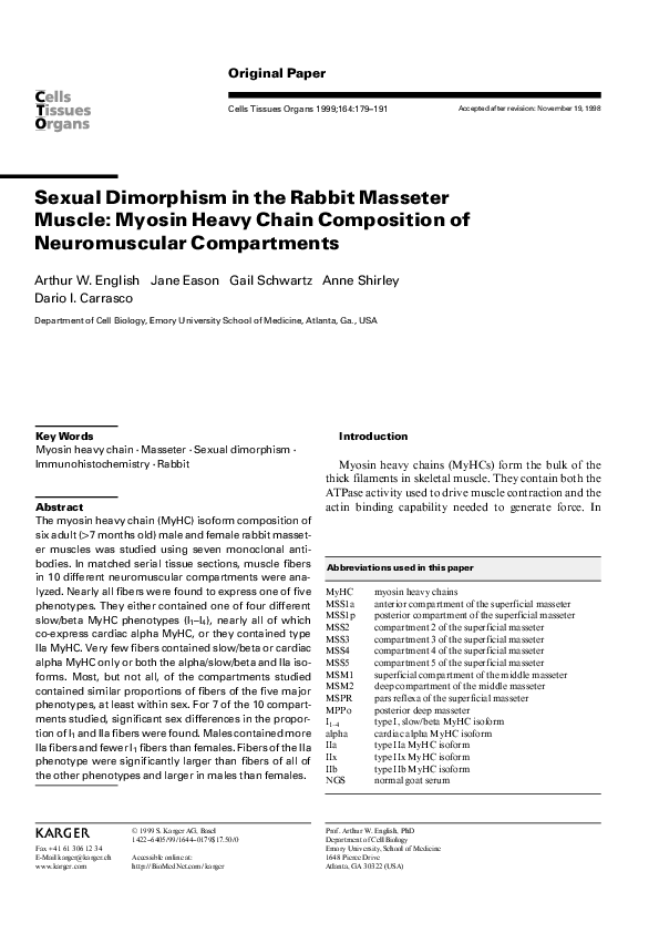 (PDF) Sexual Dimorphism in the Rabbit Masseter Muscle: Myosin Heavy ...