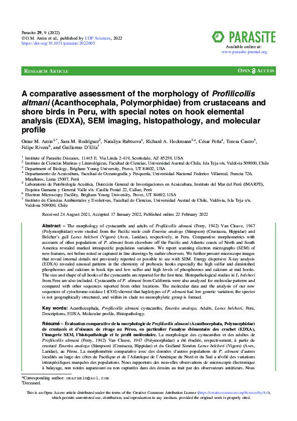 (PDF) A comparative assessment of the morphology of Profilicollis ...