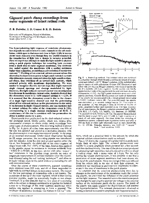 (PDF) Gigaseal patch clamp recordings from outer segments of intact ...