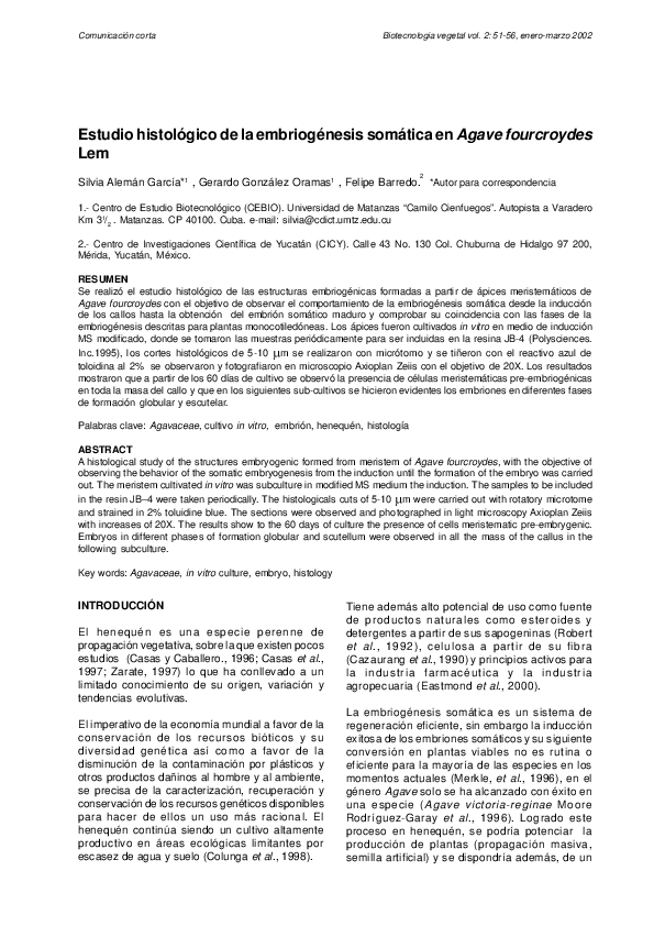 (PDF) Estudio histológico de la embriogénesis somática en Agave ...