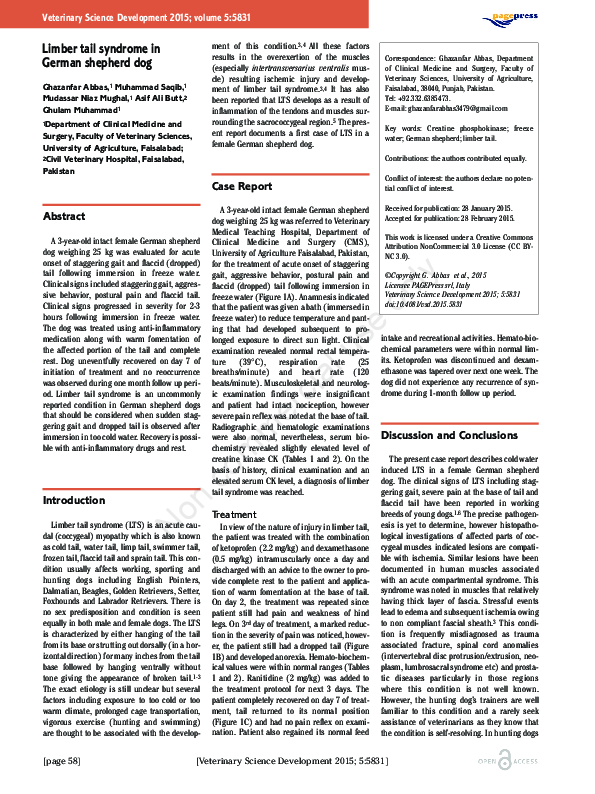 (PDF) Limber tail syndrome in German shepherd dog