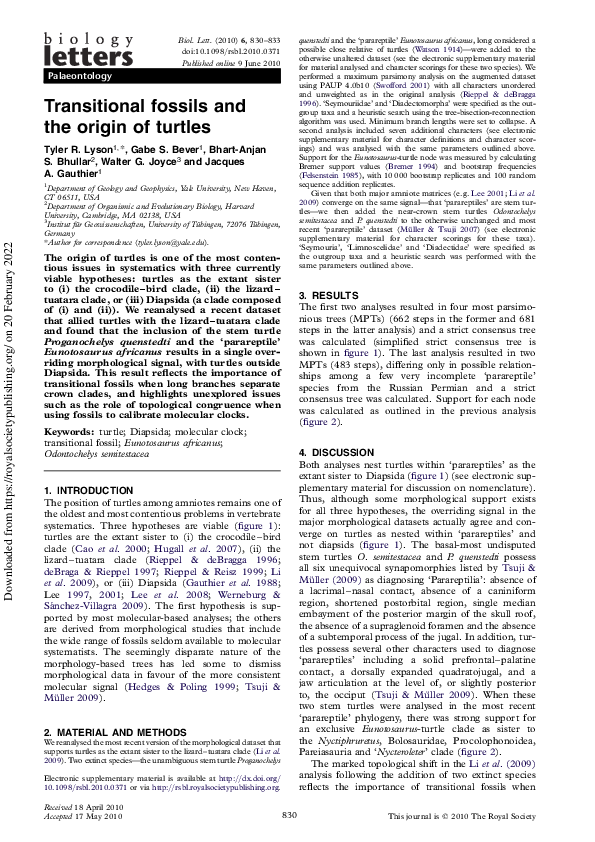(PDF) Transitional fossils and the origin of turtles